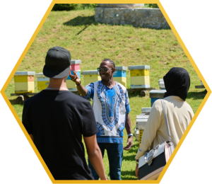 The Apiary Project – Promoting beekeeping in South Africa, dedicated to ...